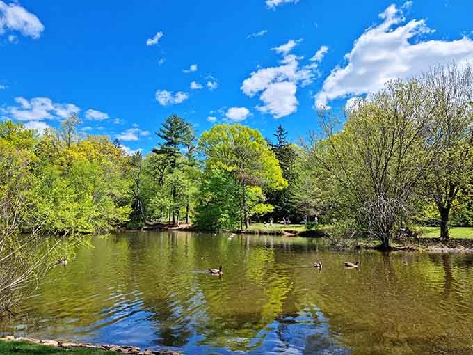 The pond reflects spring's green canopy like a mirror that actually makes everything look better.
