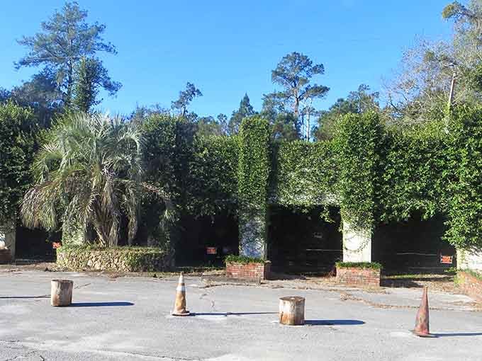 Vegetation's aggressive takeover of this former commercial building shows that Mother Nature always gets the last word in Florida.