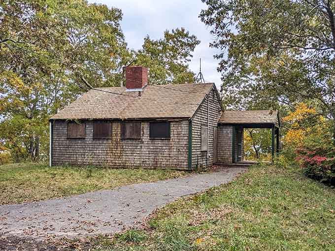 This weathered Cape Cod cottage stands sentinel among the trees, a rustic reminder of simpler times and coastal heritage.