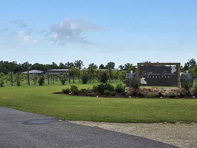 Southern Grove Vineyard proves Alabama's getting serious about wine country, one tasting room at a time.