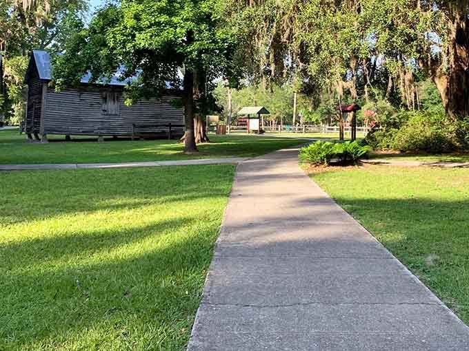The paved walkway at the trailhead makes this adventure accessible before the real forest path begins its work.