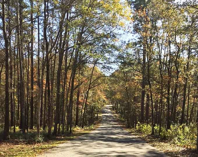 Autumn colors transform the park into something resembling Georgia, confusing visitors who thought Florida only does green.