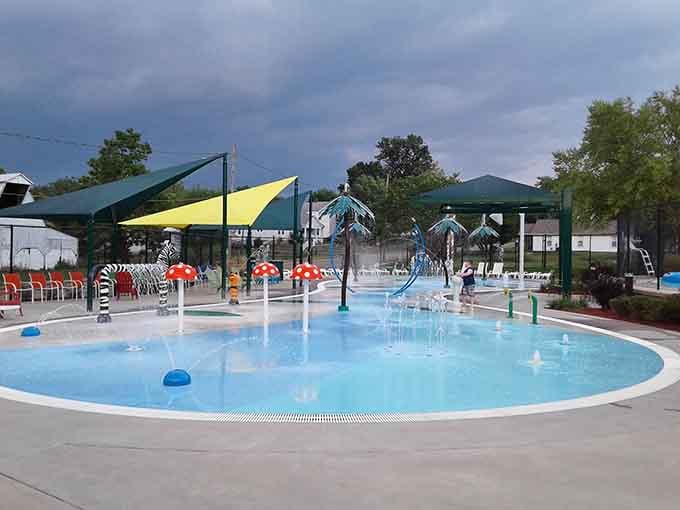 Whimsical mushroom sprays and zebra decorations create a fantasy land that would make Dr. Seuss proud.