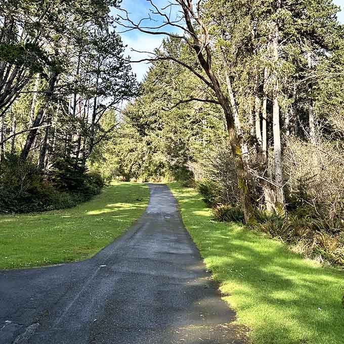 Paved trails meander through sun-dappled forest where nature reclaims what military planners once carefully designed and constructed.