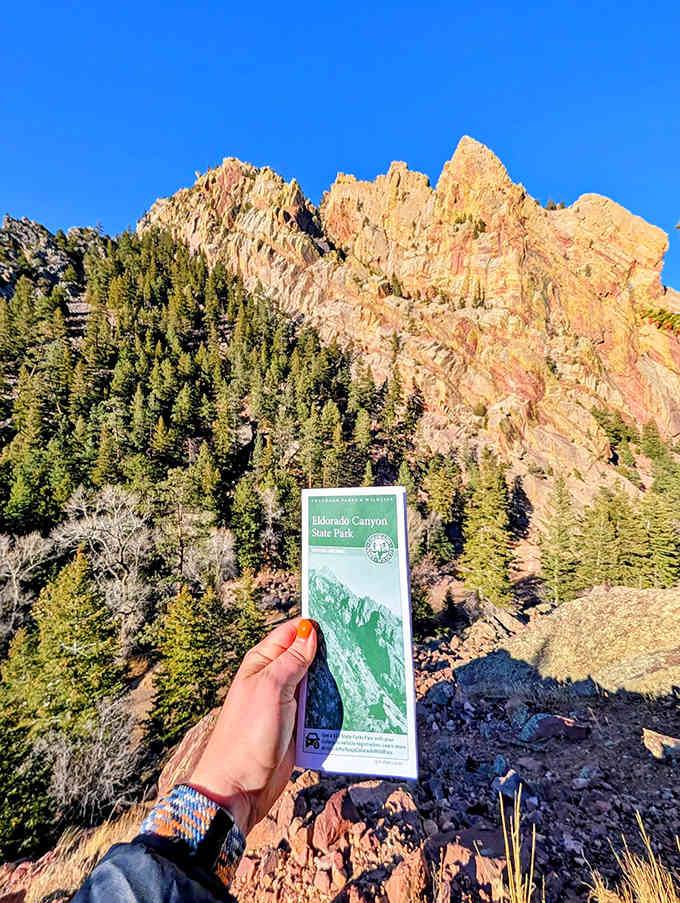 That golden-hour light hits the jagged peaks just right, turning ordinary rock into something worthy of a postcard.