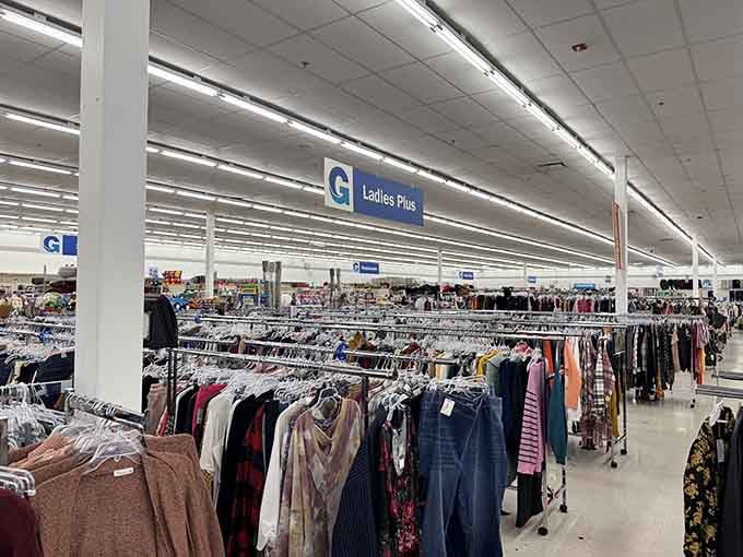 More clothing choices than a game show wardrobe department, minus the pressure to pick in thirty seconds or less.