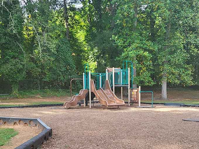 Shaded playground equipment nestled among towering trees offers families the perfect spot for afternoon adventures and picnic lunches.