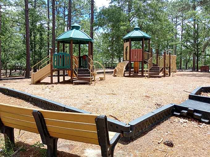 A playground where kids can be kids without needing batteries, Wi-Fi, or an instruction manual to have fun.