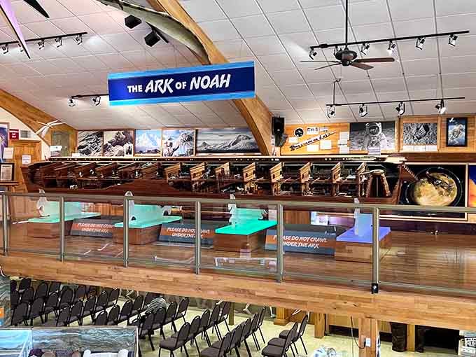 Inside the Creation Evidence Museum, you'll find perspectives on prehistoric times that spark curiosity and plenty of conversation.