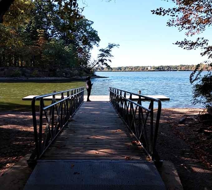 Serene lake access provides a tranquil contrast to the high-flying action happening in the trees above.