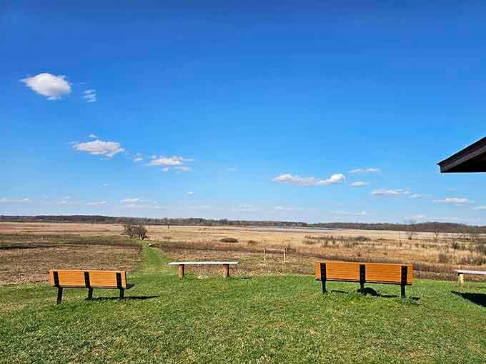 These benches have witnessed more crane migrations than most people see in a lifetime of travel.