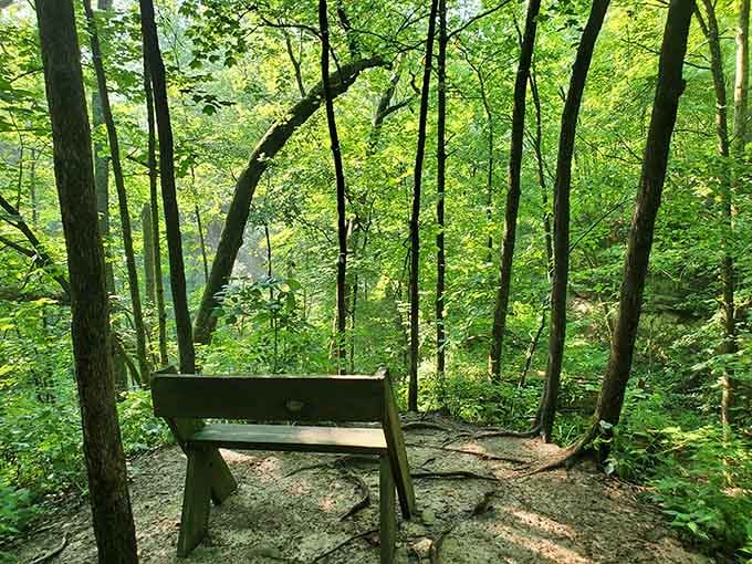 Sometimes the best seat in the house is a simple bench overlooking a gorge carved by time.