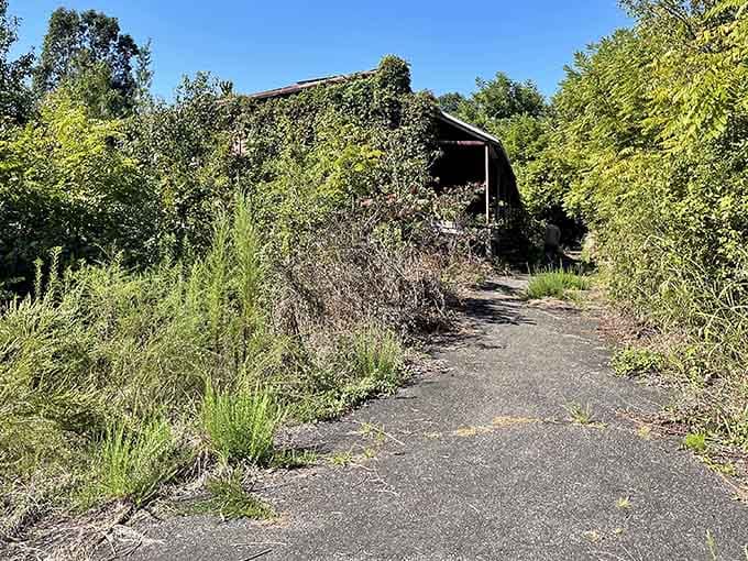 Cracked pavement and encroaching vegetation create paths that lead you deeper into North Carolina's textile heritage.