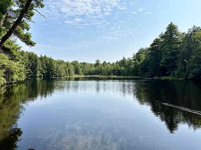Mirror-smooth water reflects the forest canopy, creating a scene so peaceful your blood pressure drops just looking at it.