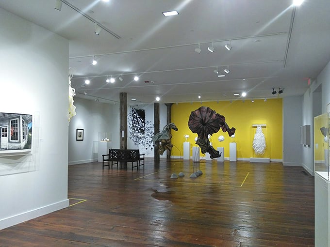 The Bascom proves mountain towns can have world-class art without losing their down-home soul.