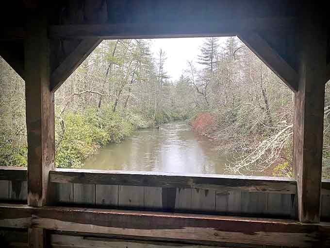 The view from inside frames the creek like a living painting that changes with every passing season.