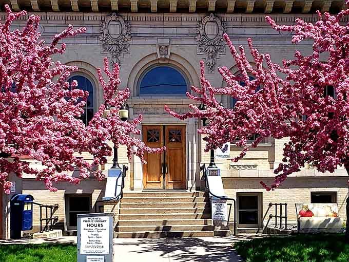 Spring blossoms frame the public library like nature's own architectural enhancement, absolutely free to enjoy.