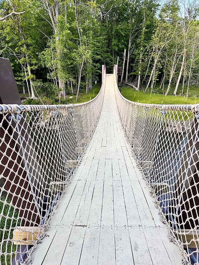 The suspension bridge tests courage levels while providing parents below with premium entertainment watching hesitant crossings unfold.