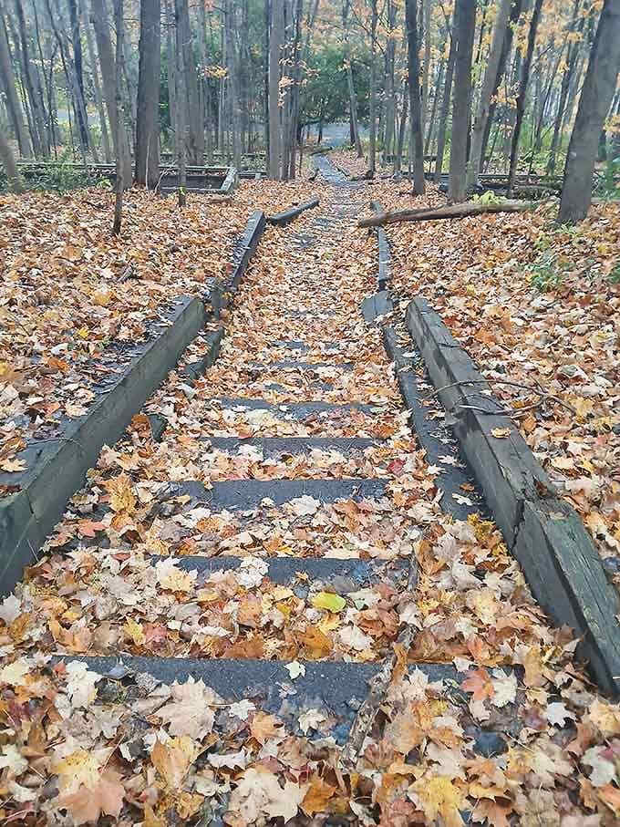 Steps leading down through time, each one closer to geological wonders beyond your wildest dreams.