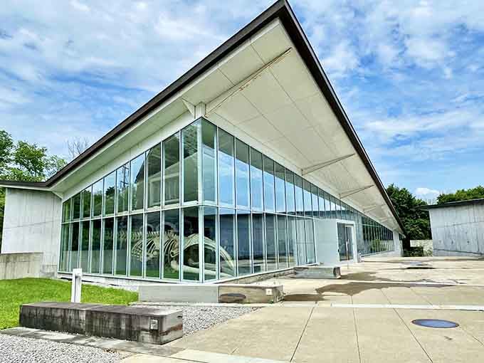 The Museum of the Earth's striking modern design houses ancient fossils, creating a timeline collision that somehow works perfectly.