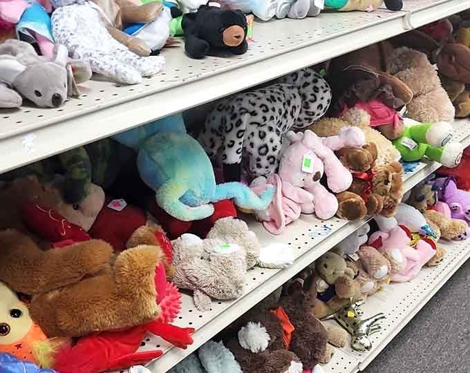 This stuffed animal army is ready to comfort the next generation of kids who need bedtime buddies.