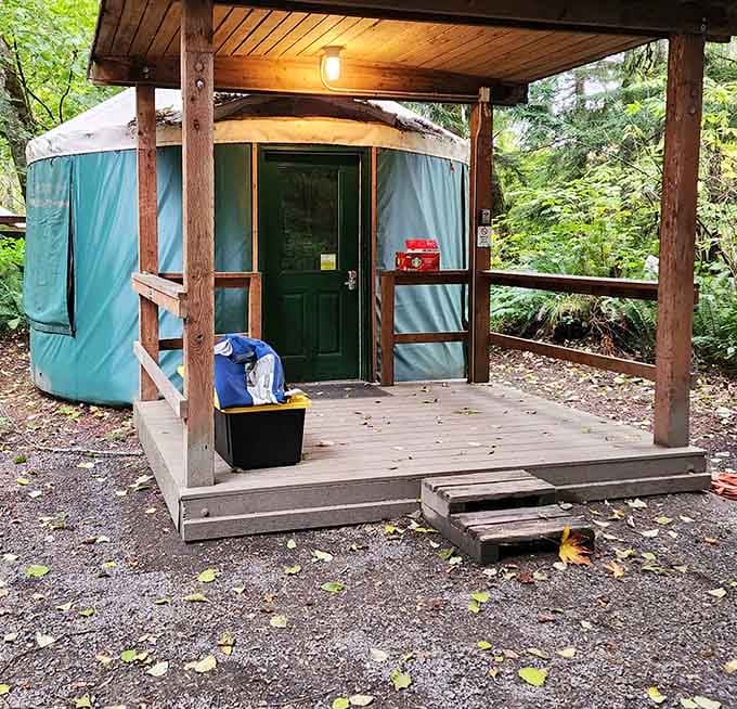 Yurt camping: because sometimes you want nature with a roof that doesn't require assembly instructions and cursing.