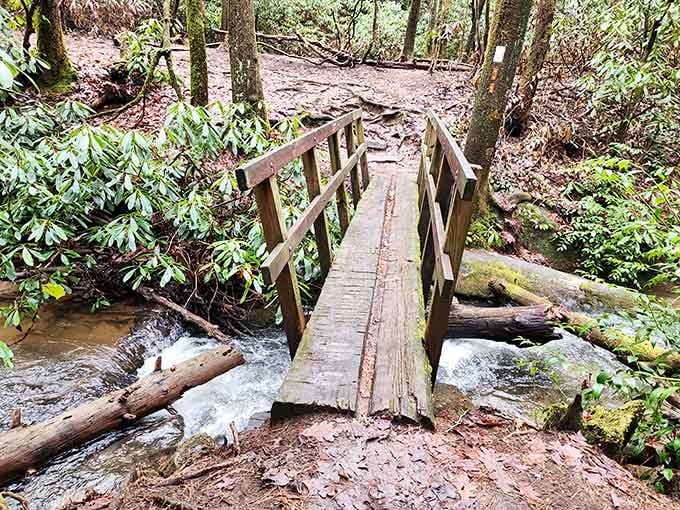 This humble footbridge is your gateway to waterfall glory, like a wooden portal to South Carolina's hidden Narnia.