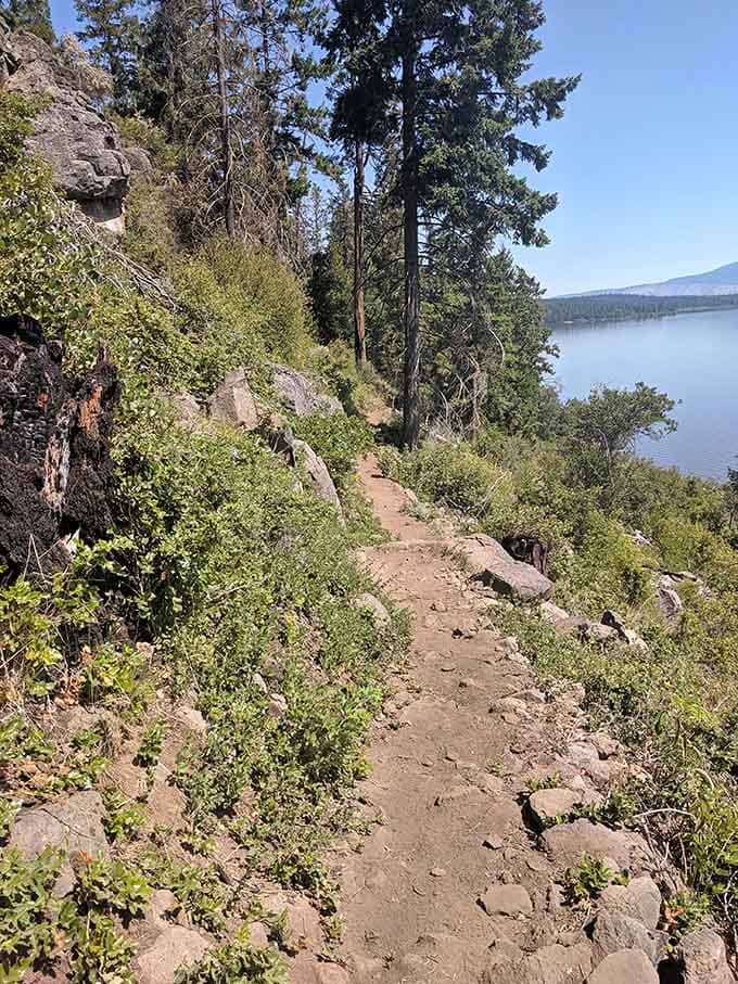 Trails wind above Upper Klamath Lake, offering views that make the climb worth every huffing, puffing step.