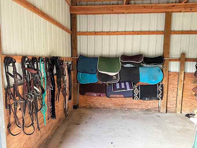 A rainbow of saddle pads waiting for their next adventure, organized like a well-stocked kitchen.