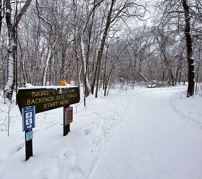 Winter transforms the trails into a snowy wonderland that would make Currier and Ives jealous.