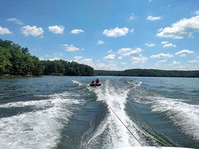Summer fun that'll have everyone screaming with joy and possibly regretting that second helping at lunch.