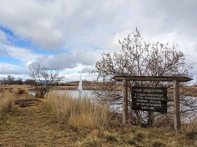 Old Perpetual keeps erupting faithfully, proving Mother Nature's more reliable than most people you know.