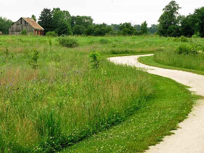 The walking trail offers a peaceful stroll when you need a break from all that high-speed miniature locomotive action.