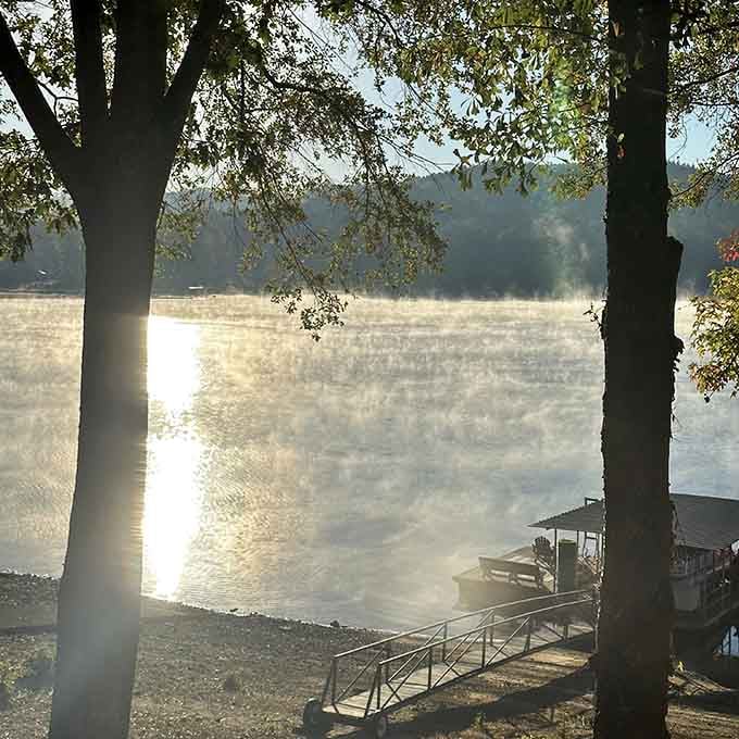 Morning mist rising off the water like the lake is brewing its own special brand of magic.