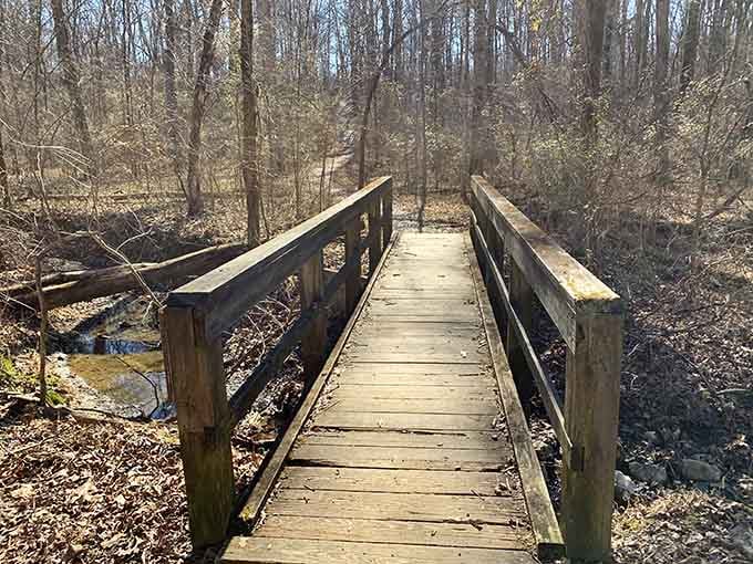 This wooden bridge over the creek looks straight out of a storybook, minus the troll underneath demanding riddles.