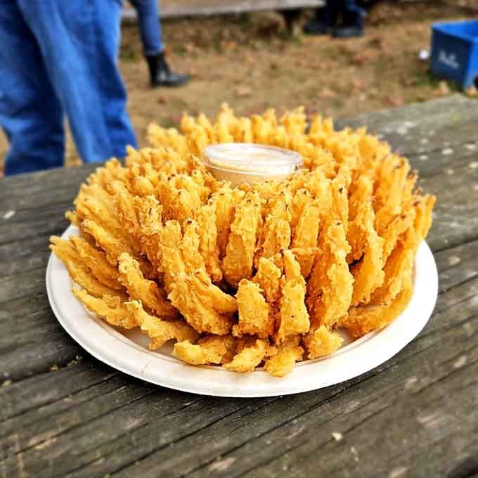 The blooming onion here is fried to golden perfection, proving Linvilla does more than just fruit and donuts.