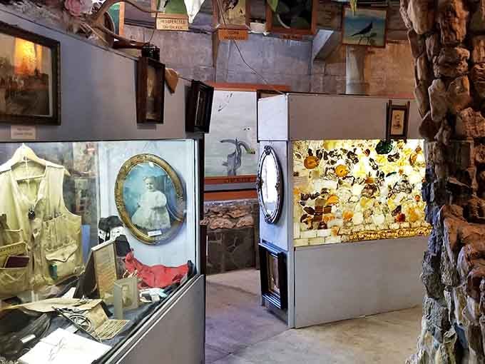 Display cases nestled among rocks, making museum exhibits feel like treasure hunts through geological time.