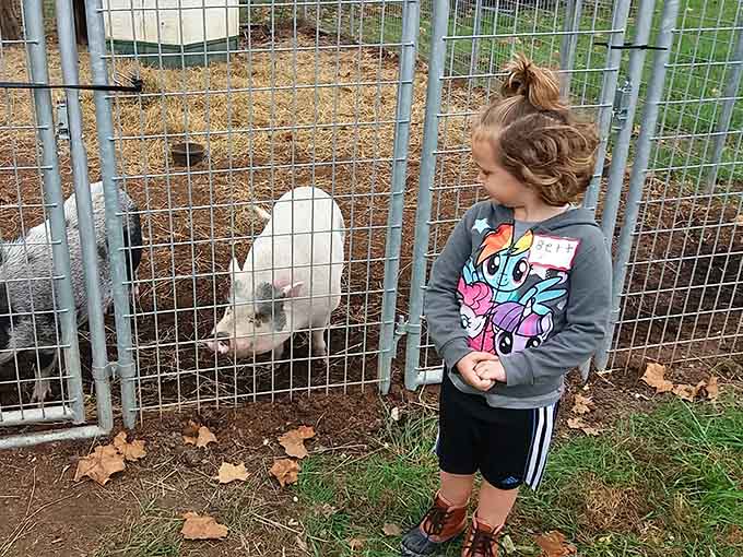 The pure joy on this kid's face while meeting a pig proves that the best connections don't require WiFi.