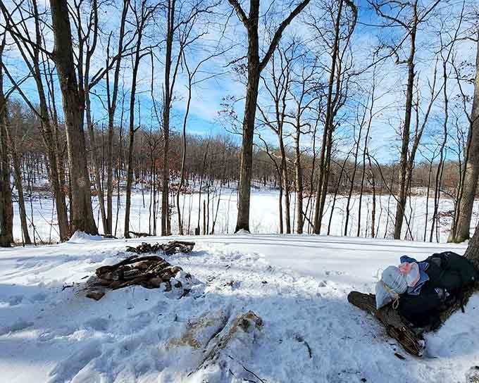 Winter transforms the landscape into a frozen masterpiece, perfect for those who think "cold" is just a state of mind.