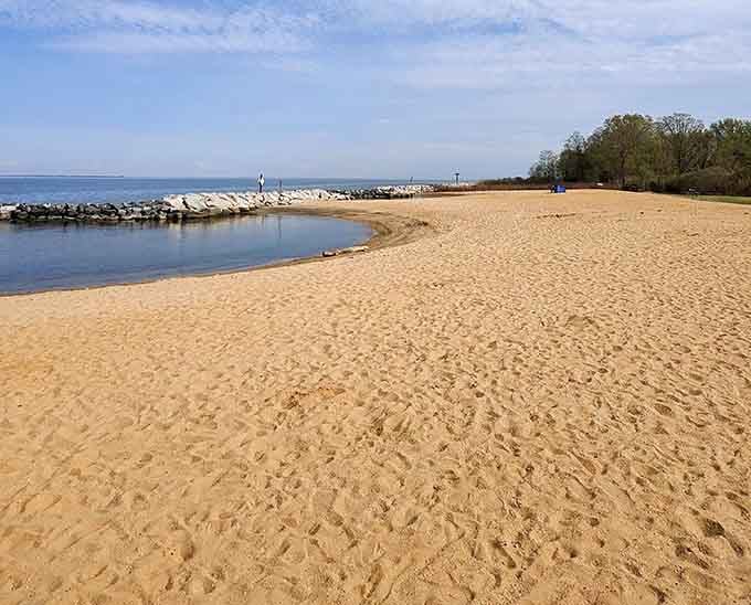 Miles of sandy shoreline stretching along the South River, proving Maryland beaches can absolutely hold their own.