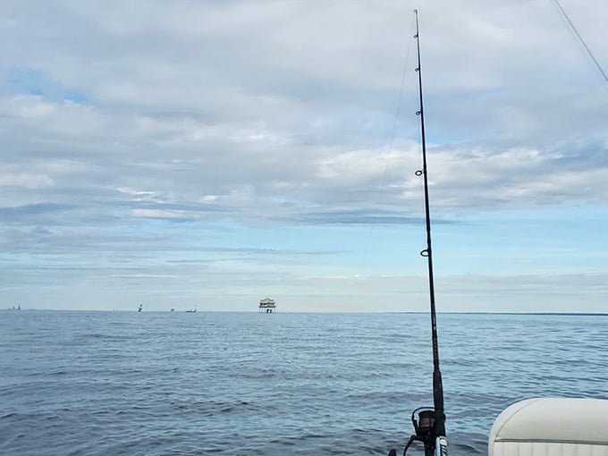 Fishing with a view that makes you forget whether you're catching dinner or just catching feelings.