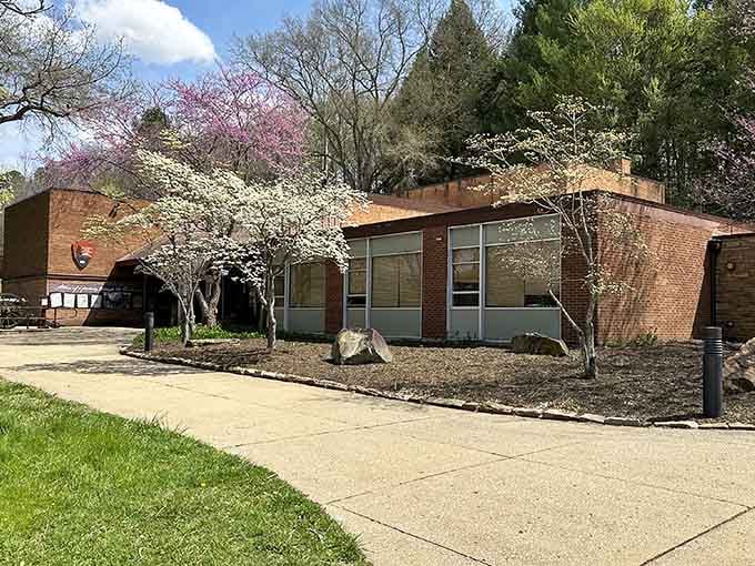 Spring blooms frame the visitor center where three states converge and Daniel Boone's path becomes your afternoon adventure.