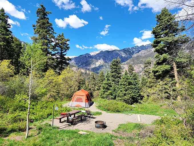 This campsite offers front-row seats to mountain majesty, though the neighbors are quieter than any hotel you've ever stayed in.