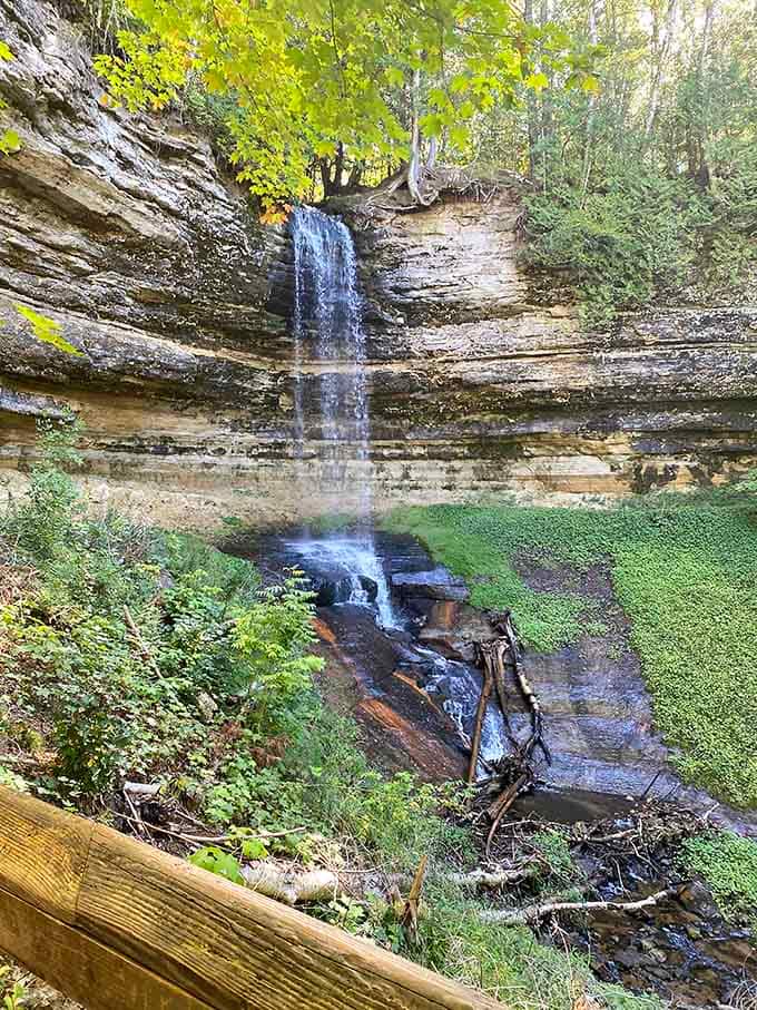 Sometimes the best view requires nothing more than a short walk and an open heart.