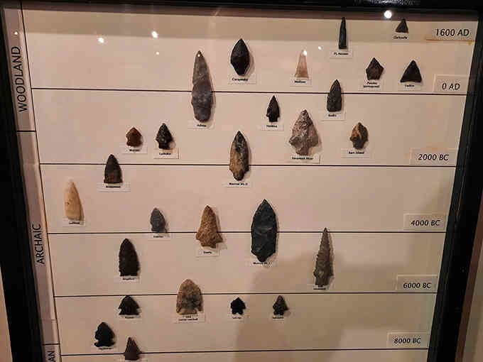 Thousands of years of Native American craftsmanship displayed in one case, each arrowhead telling its own silent story.