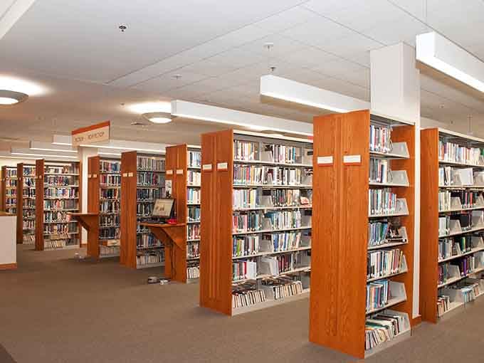 Rows of books stretch endlessly, offering free entertainment that doesn't require passwords, subscriptions, or explaining technology to grandchildren.