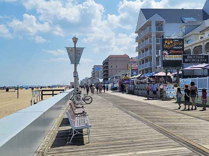 The boardwalk hums with energy as visitors discover why generations keep returning to this wooden pathway.