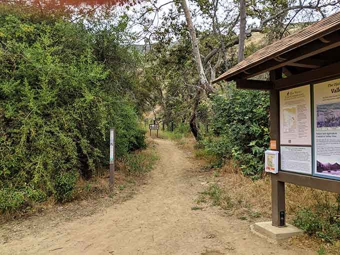 Valley View Preserve's trailhead promises the kind of hiking that earns you bragging rights and sore calves in equal measure.