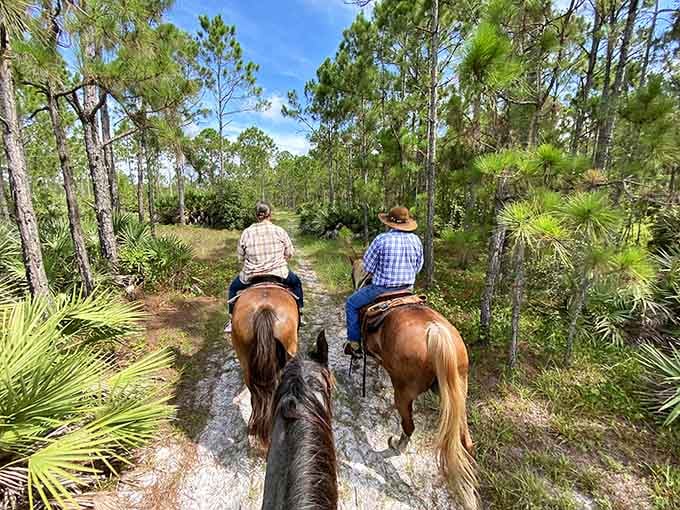 Saddle up for a genuine Florida experience where horses and nature create the perfect escape.