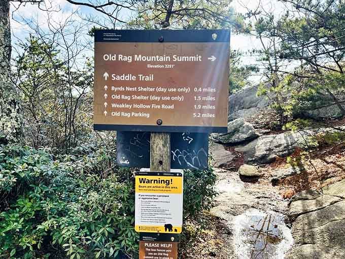 When the sign mentions bears, it's not being cute: this is their neighborhood, you're just visiting.